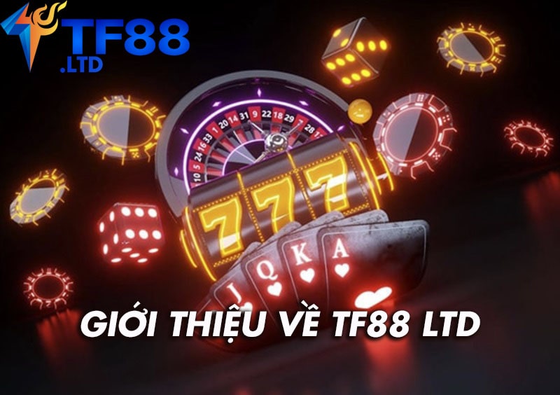 TF88 là gì? Giới thiệu về trang cá cược TF88 LTD